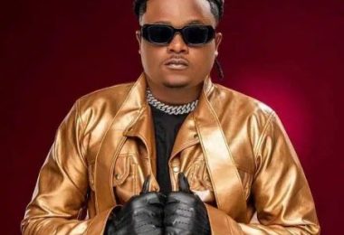 T Sean Songs 2026 Mp3 Download : I Love Zed Music